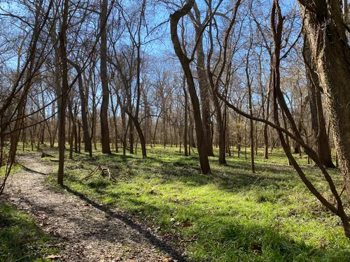 Best Hikes and Trails in Stephen F. Austin State Park | AllTrails