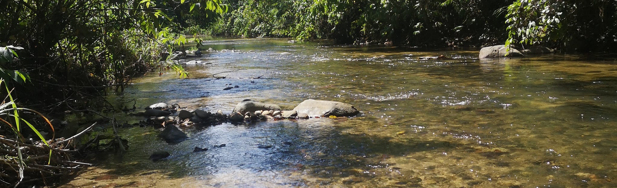 Klang River via Kemensah, Selangor, Malaysia - 7 Reviews, Map | AllTrails