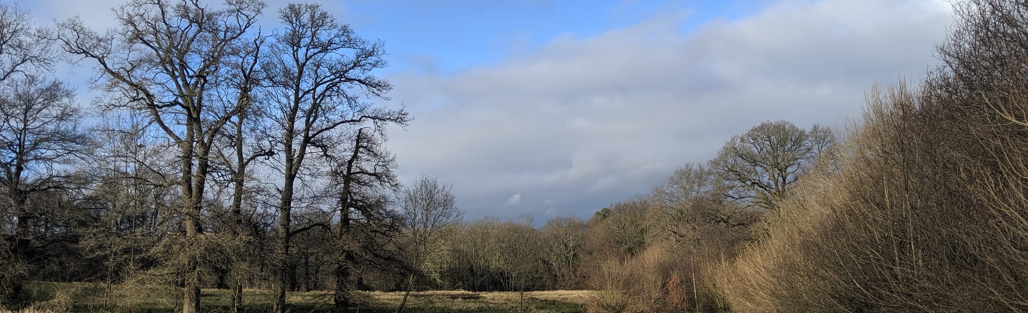 Cowden Station Circular, Kent, England - 19 Reviews, Map | AllTrails