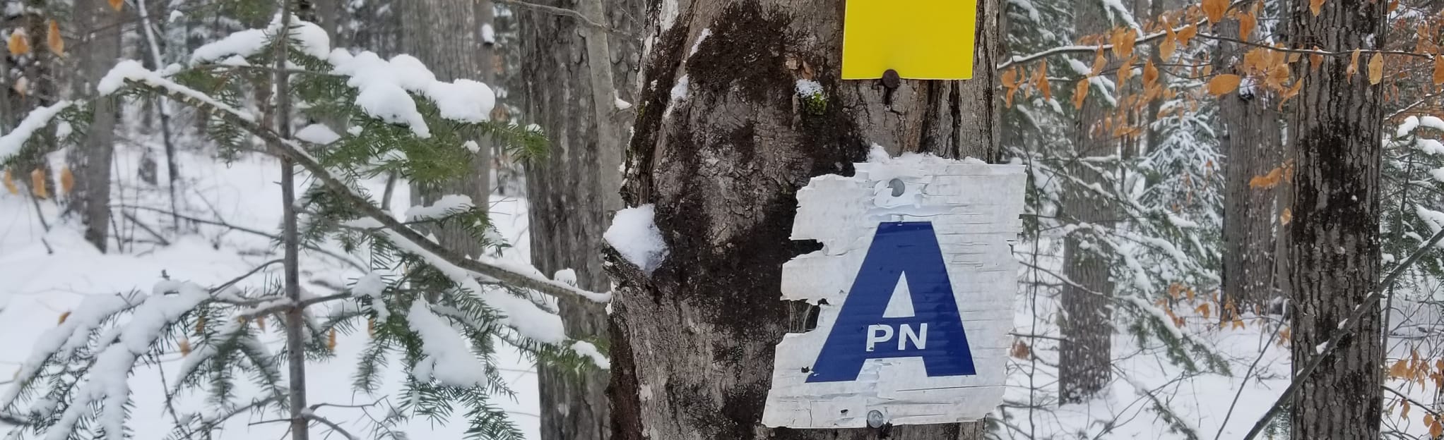 Rabbit Trail and Beaver Trail Loop: 2 Reviews, Map - Ontario, Canada ...