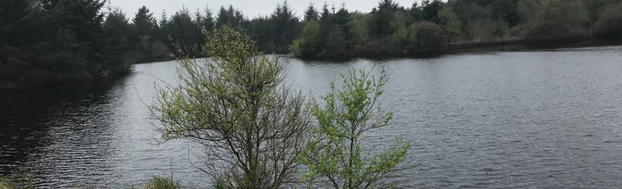 Blokhus Plantage Rundt | Map, Guide - North Denmark, Denmark | AllTrails