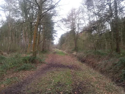 10 Best Trails, Walks, and Paths in York | AllTrails