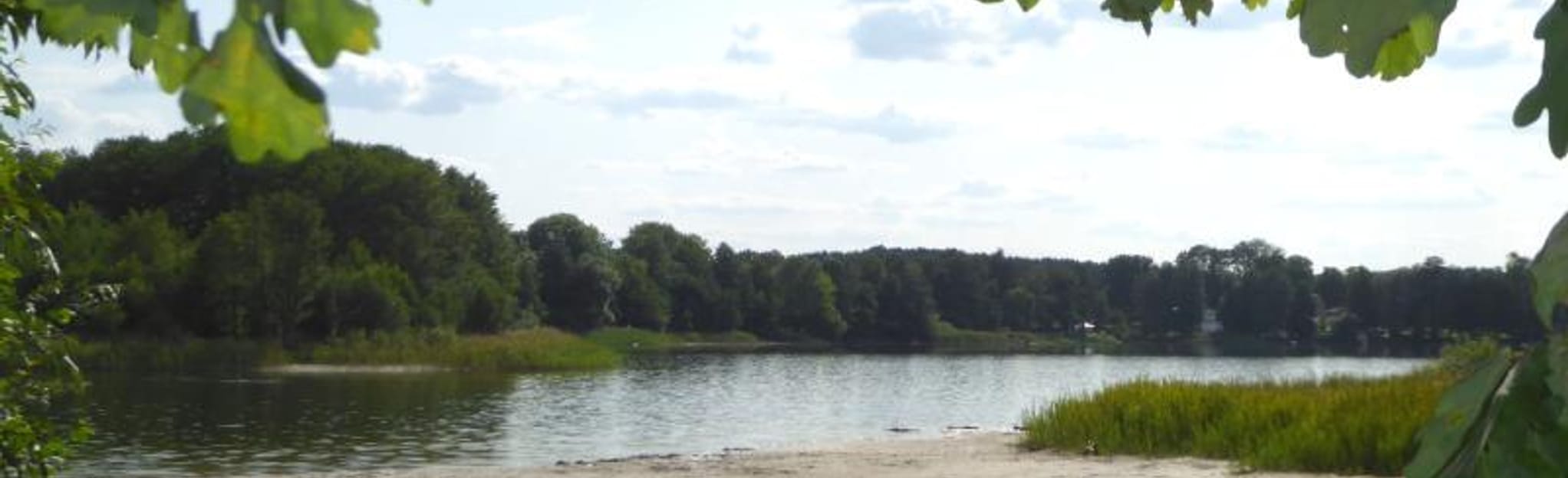 Seddin Lake Loop, Brandeburg, Germany - 11 Reviews, Map | AllTrails