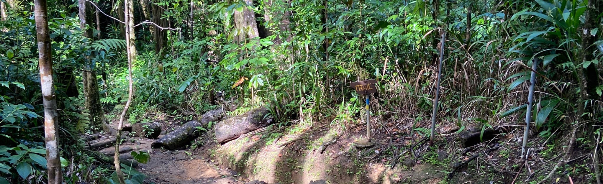 Middleham falls, Saint George, Dominica - 89 Reviews, Map | AllTrails