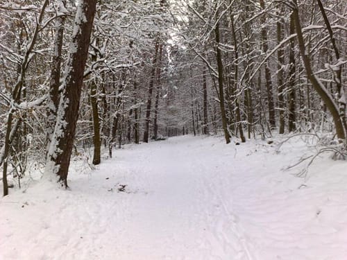 2023 Best Historic Site Trails in Erlenbach am Main | AllTrails