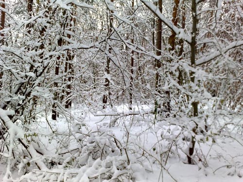 2023 Best Historic Site Trails in Erlenbach am Main | AllTrails