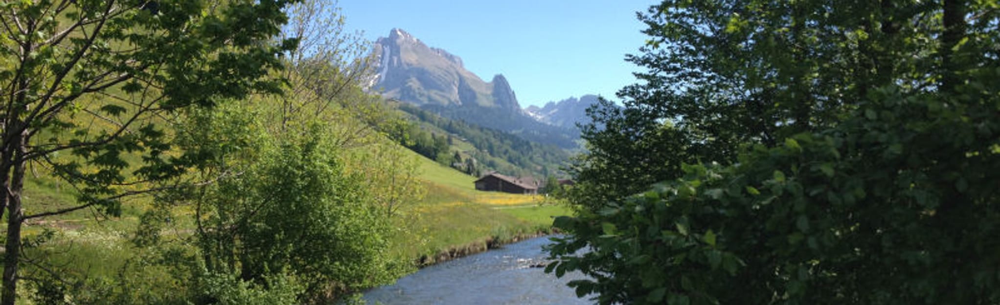 Nesslau - Gräppelensee, St. Gallen, Switzerland - Map, Guide | AllTrails