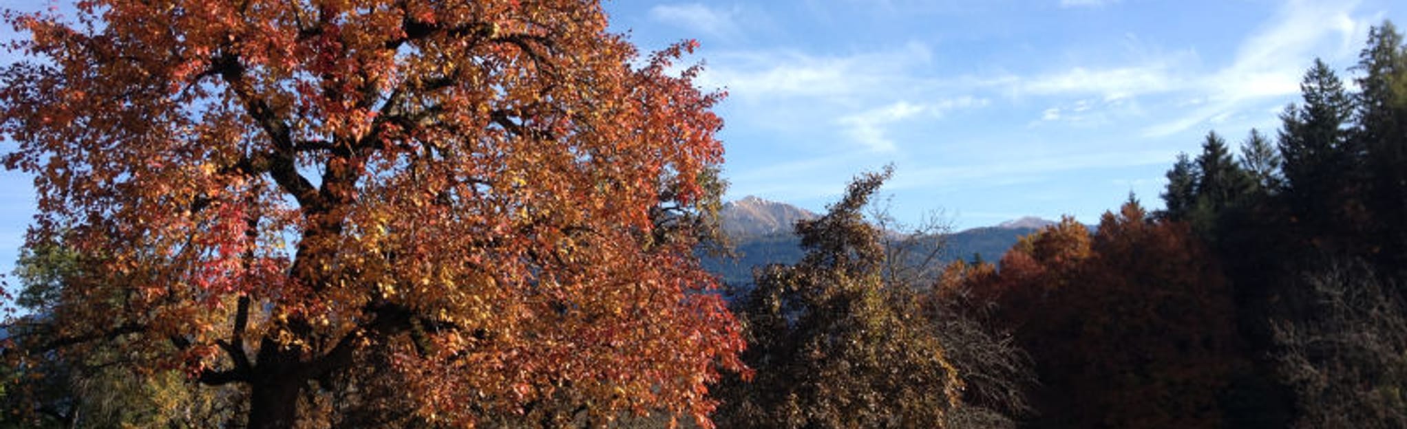 Jakobsweg Graubünden - Stage 13: Tamins - Trin Digg, Graubünden ...