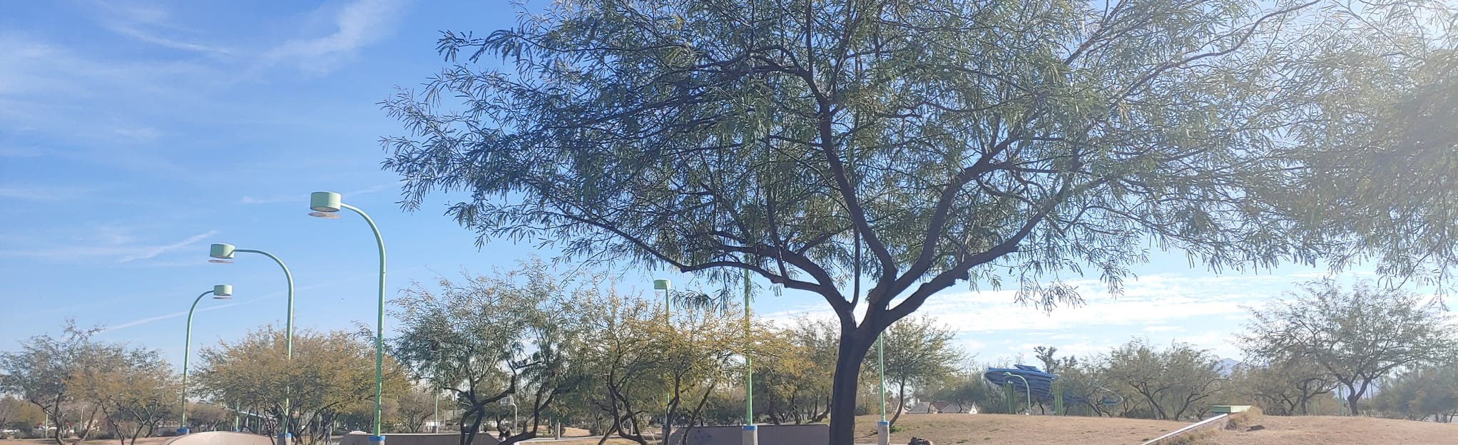 Dust Devil Park Loop: 42 Reviews, Map - Arizona | AllTrails