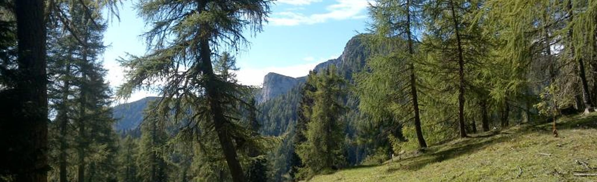 Passo della Mendola - Rifugio Mezzavia - Malga di Romeno - Trentino ...