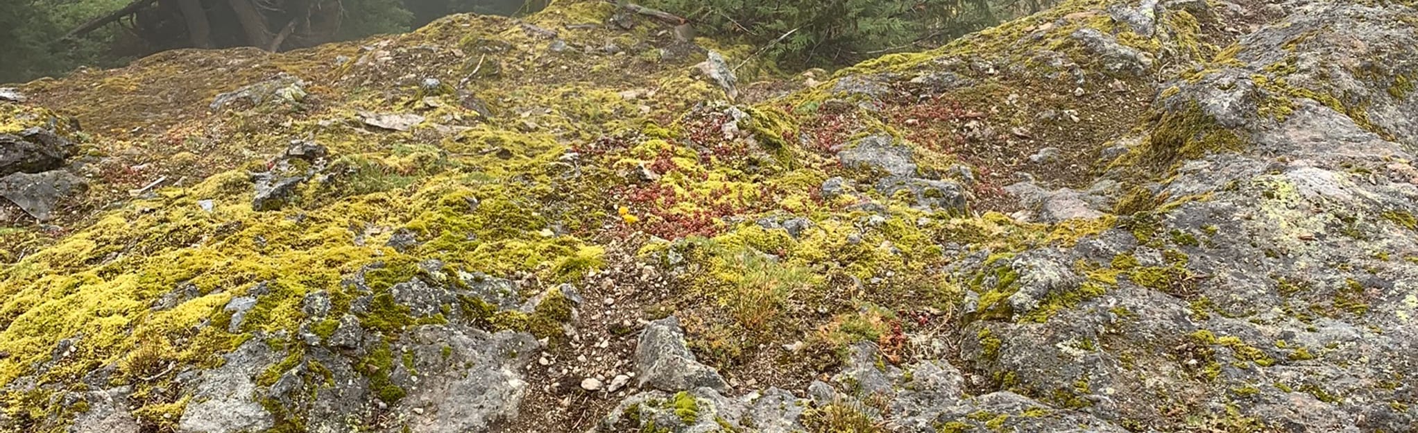 Northern North Cascades Loop Trail: 23 Reviews, Map - Washington ...