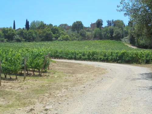 10 Best Forest Trails in Castellina In Chianti | AllTrails