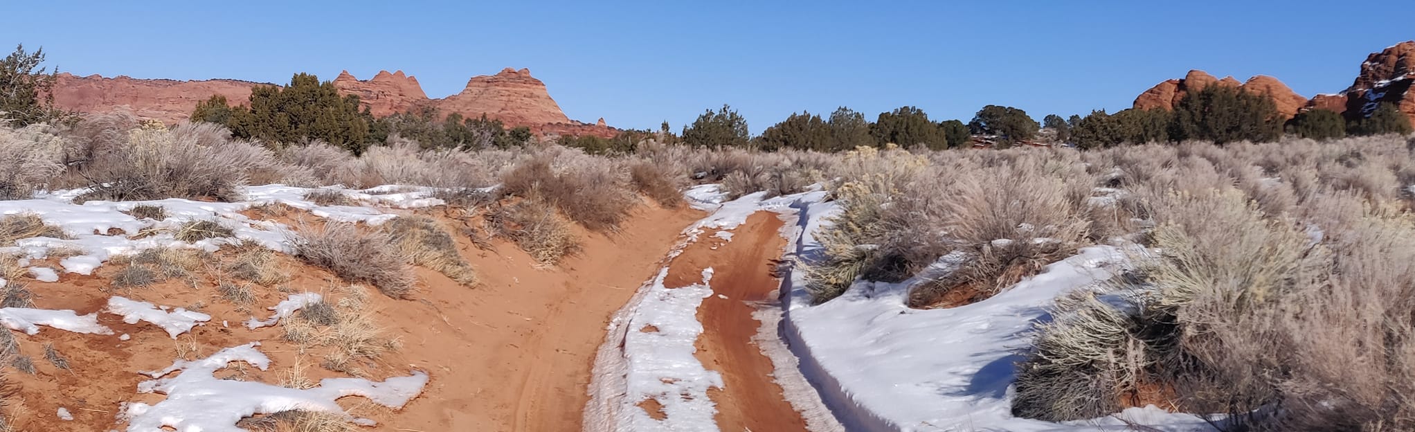 Coyote Wash Trail : 30 photos - Arizona | AllTrails