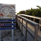 Treasure Island Beach Trail, Florida - 266 Reviews, Map | AllTrails