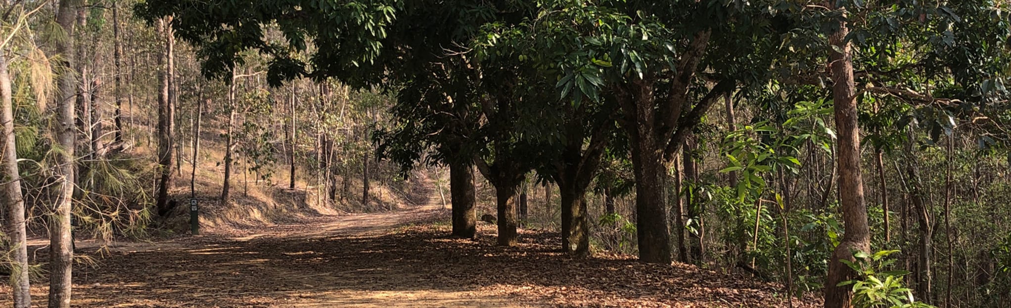 Bracalba Running Trail 3 Loop - Queensland, Australia | AllTrails
