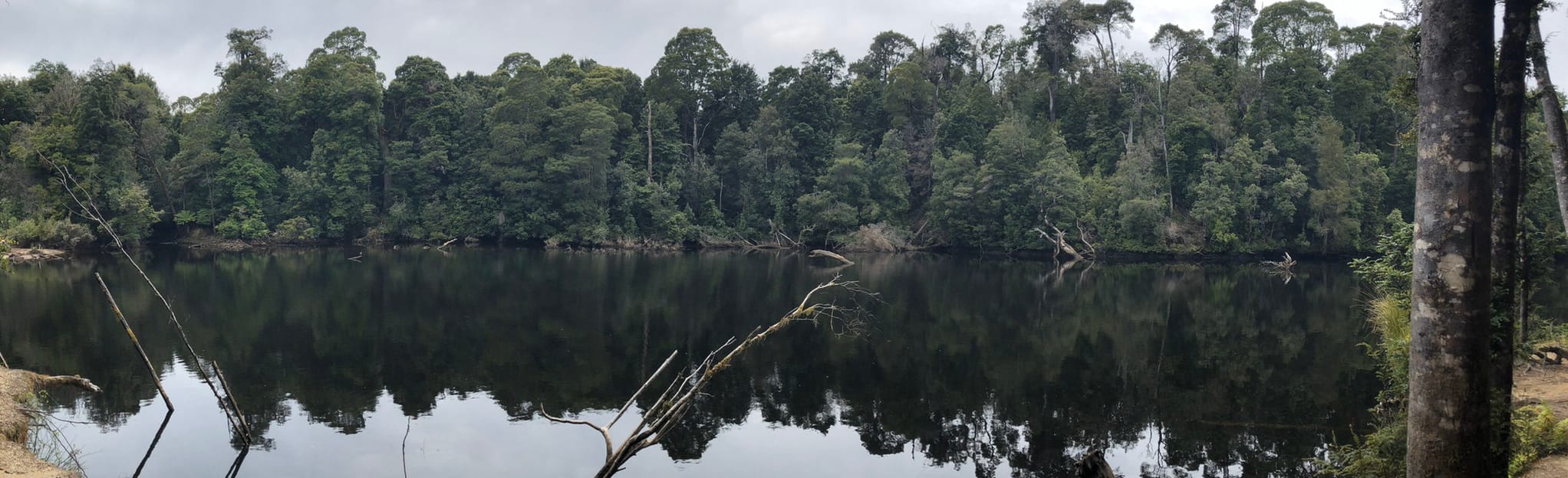 Whyte River and Savage River Walk: 3 Reviews, Map - Tasmania, Australia ...