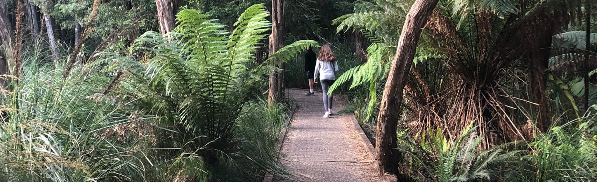 Huon Pine Walk: 9 foto's - Tasmanië, Australië | Wandelen - AllTrails