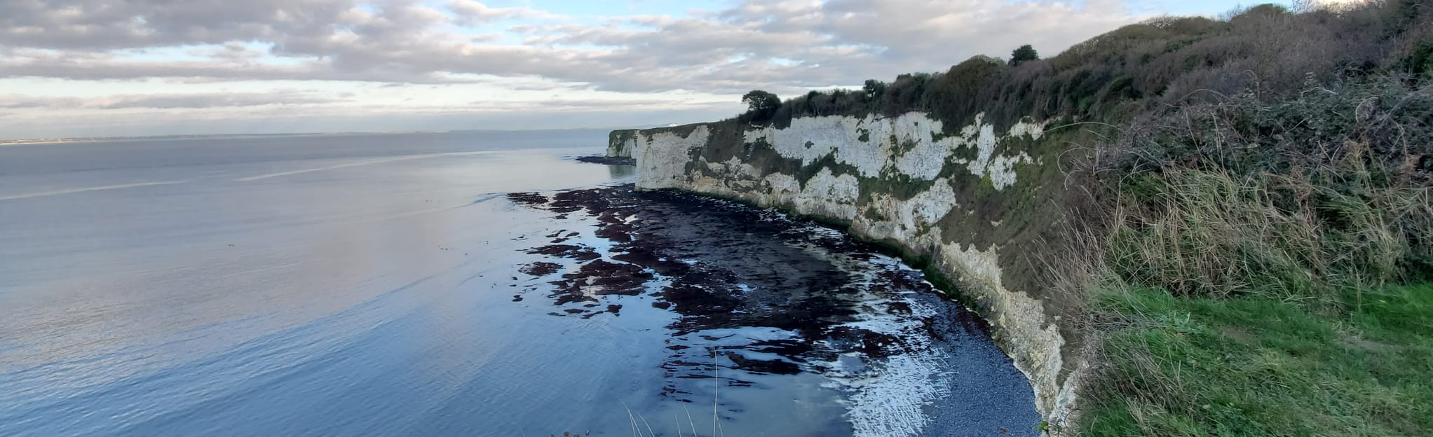Old Harry Rocks and Studland Circular, Dorset, England - 247 Reviews ...