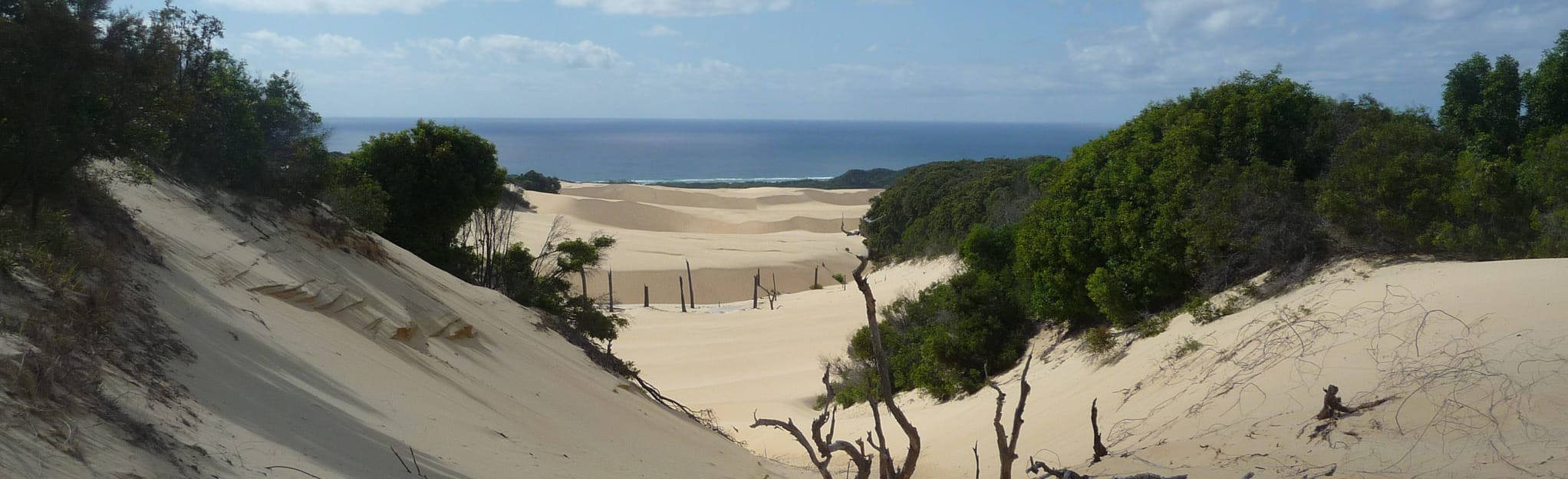 K'gari (Fraser Island) Great Walk: South to North: 73 foton ...