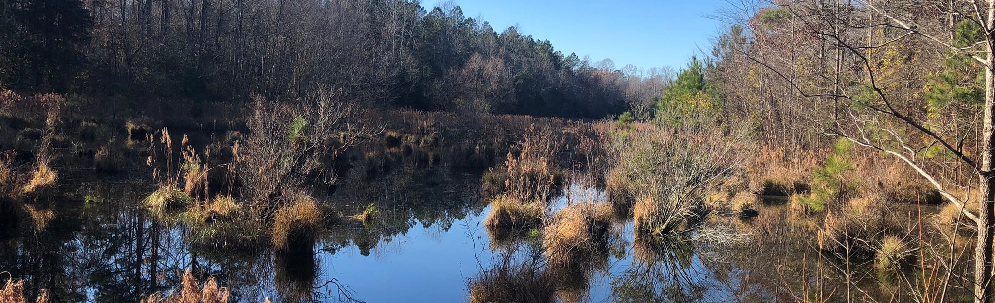 Zoar State Forest South, Virginia - 84 Reviews, Map | AllTrails