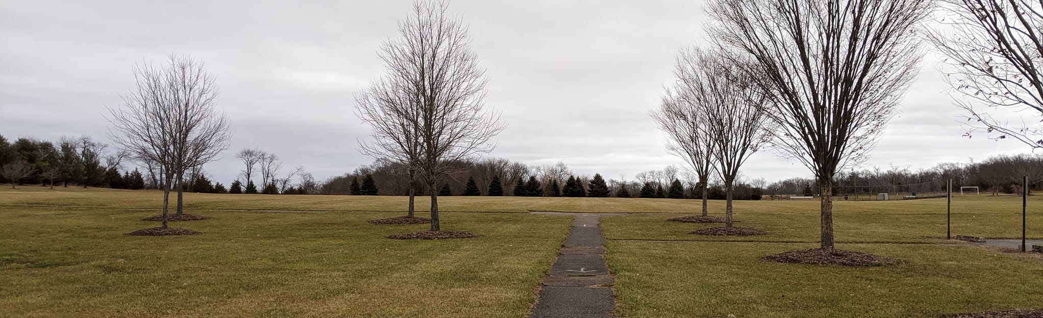 Woodfern Trail, New Jersey - 9 Reviews, Map | AllTrails