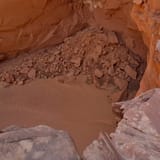 The Great Gallery, Utah - 33 Reviews, Map | AllTrails