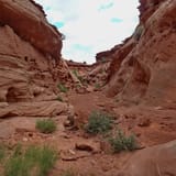 The Great Gallery, Utah - 38 Reviews, Map | AllTrails