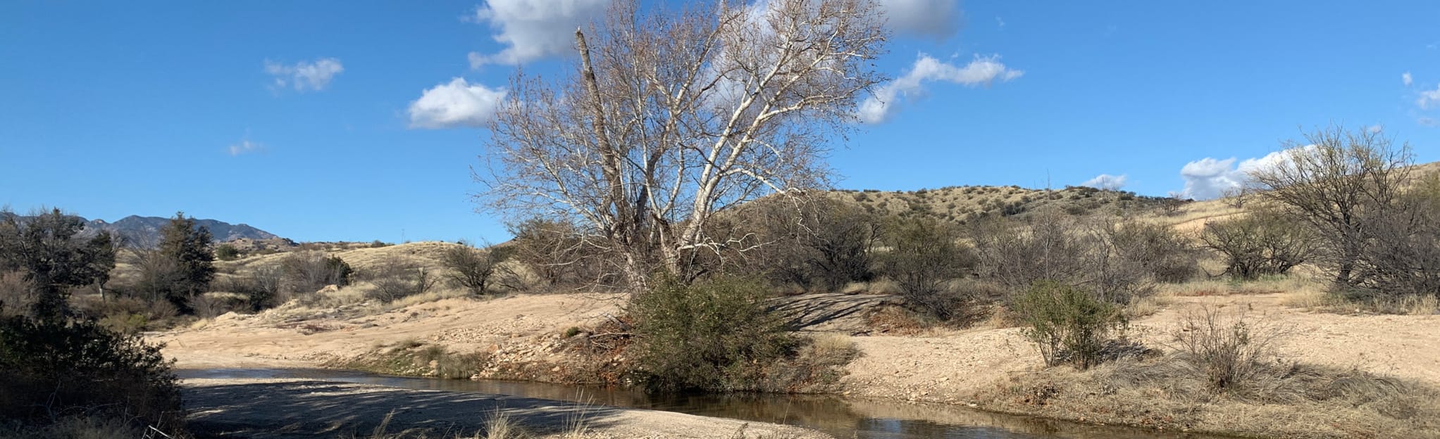 Redington Pass Chiva Falls OHV Loop, Arizona - 24 Reviews, Map | AllTrails