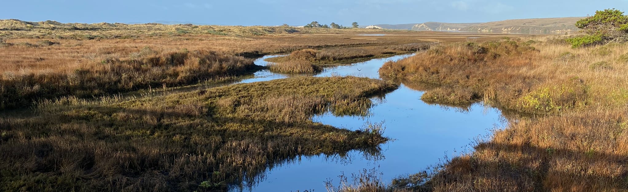 Limantour Beach Trail, California - 305 Reviews, Map | AllTrails