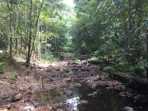 10 Best Hikes and Trails in Mapleton Falls National Park | AllTrails