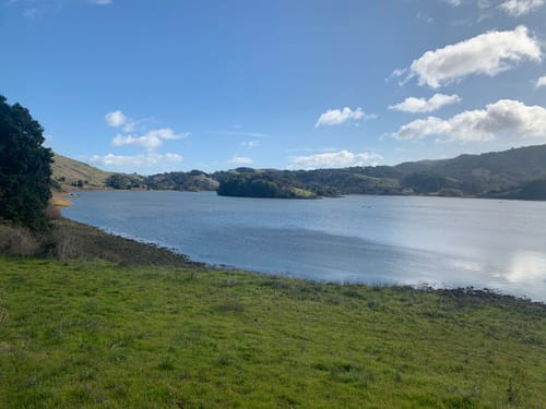 Best Hikes and Trails in Stafford Lake Park | AllTrails