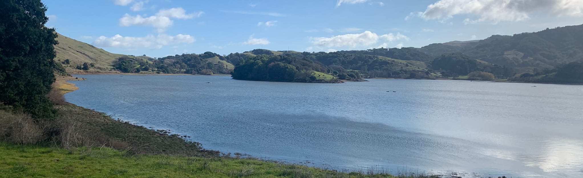 Stafford Reservoir Trail, California - 67 Reviews, Map | AllTrails