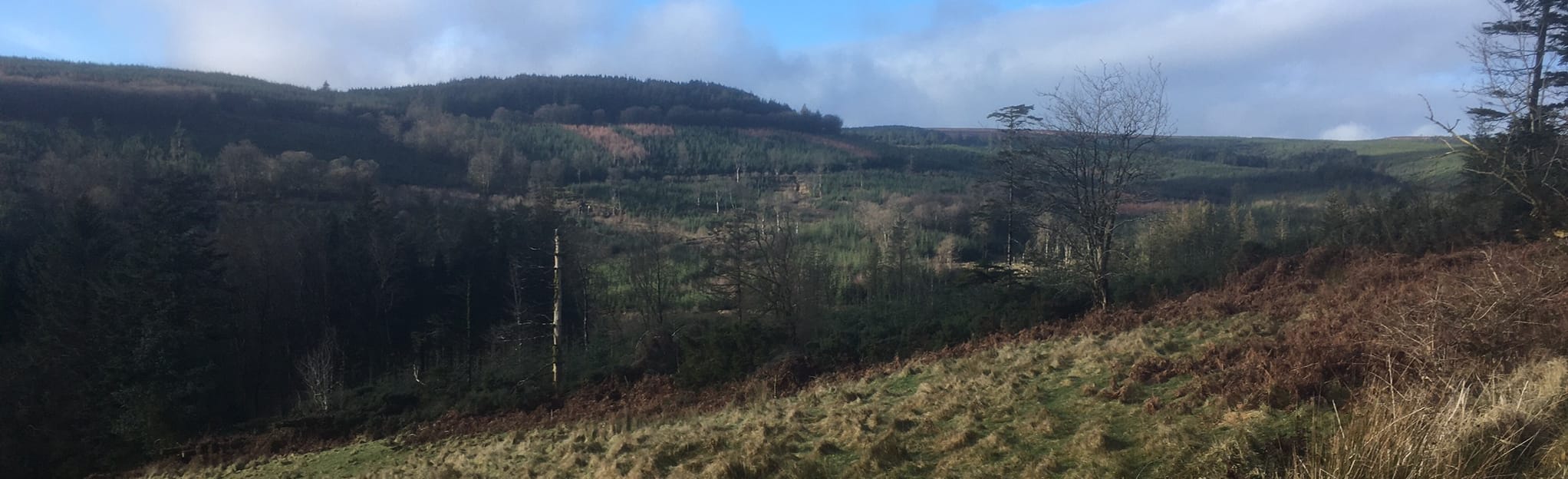 Slieve Bloom Mountain Bike Trail: 10 Reviews, Map - County Laois ...