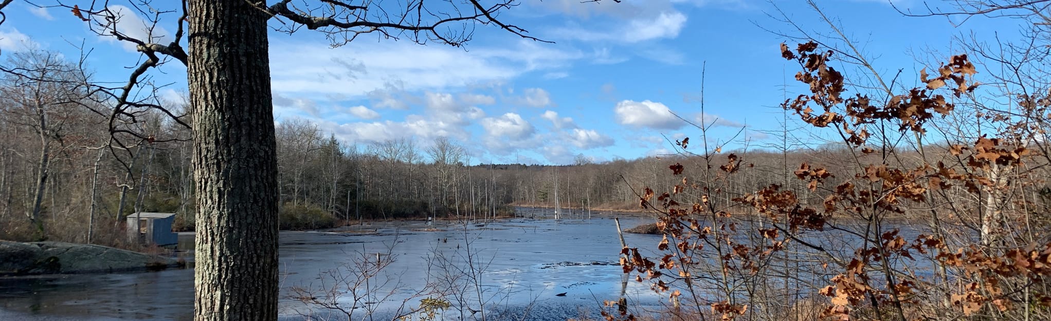 Sessions Woods Beaver Pond Trail: 1472 Reviews, Map - Connecticut ...