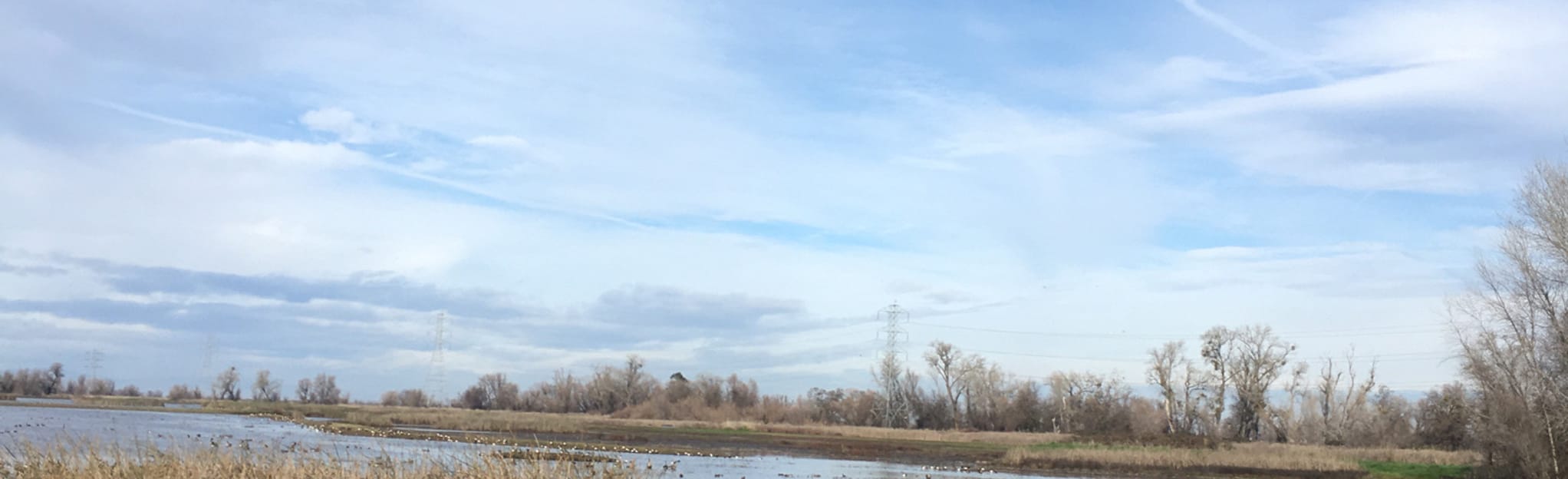 Colusa National Wildlife Refuge Auto Loop: 6 Reviews, Map - California ...