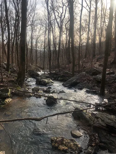 Best Hikes and Trails in Green Mountain Nature Preserve | AllTrails