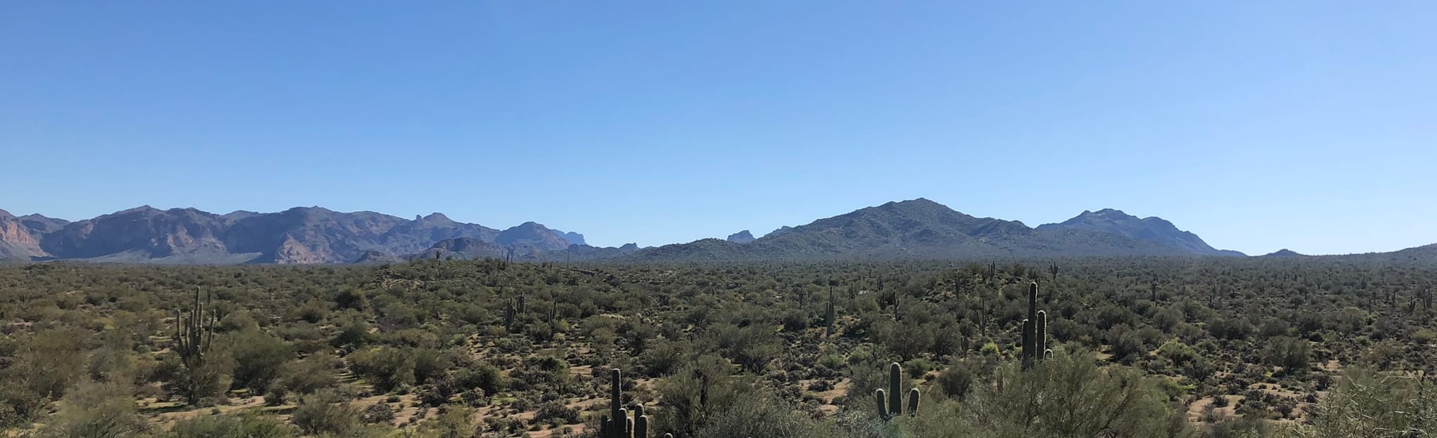 Coon Bluff Trail - Arizona | AllTrails
