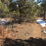 Tanner Trail, Colorado - 113 Reviews, Map | AllTrails