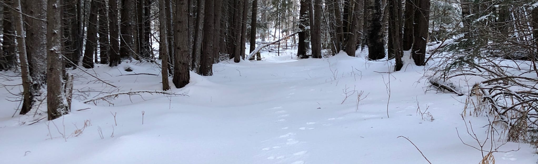 Nakkertok North and Awesome Hill | Map, Guide - Quebec, Canada | AllTrails