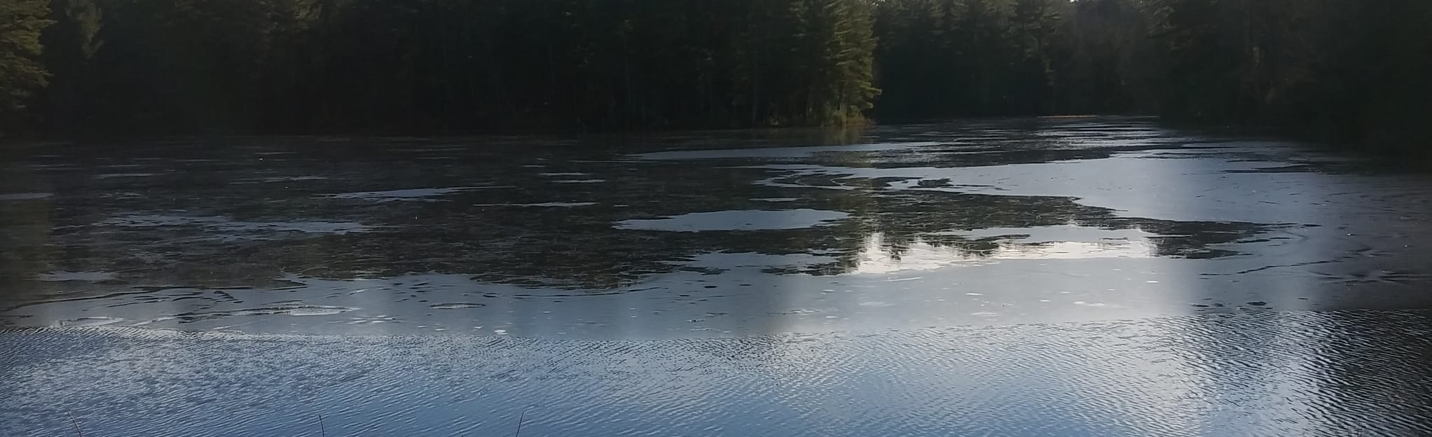 Lunden Pond and Temple Brook Loop: 227 Reviews, Map - Massachusetts ...