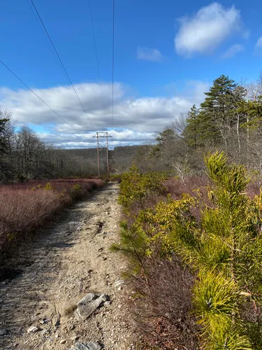 Best Easy Trails in Michaux State Forest | AllTrails