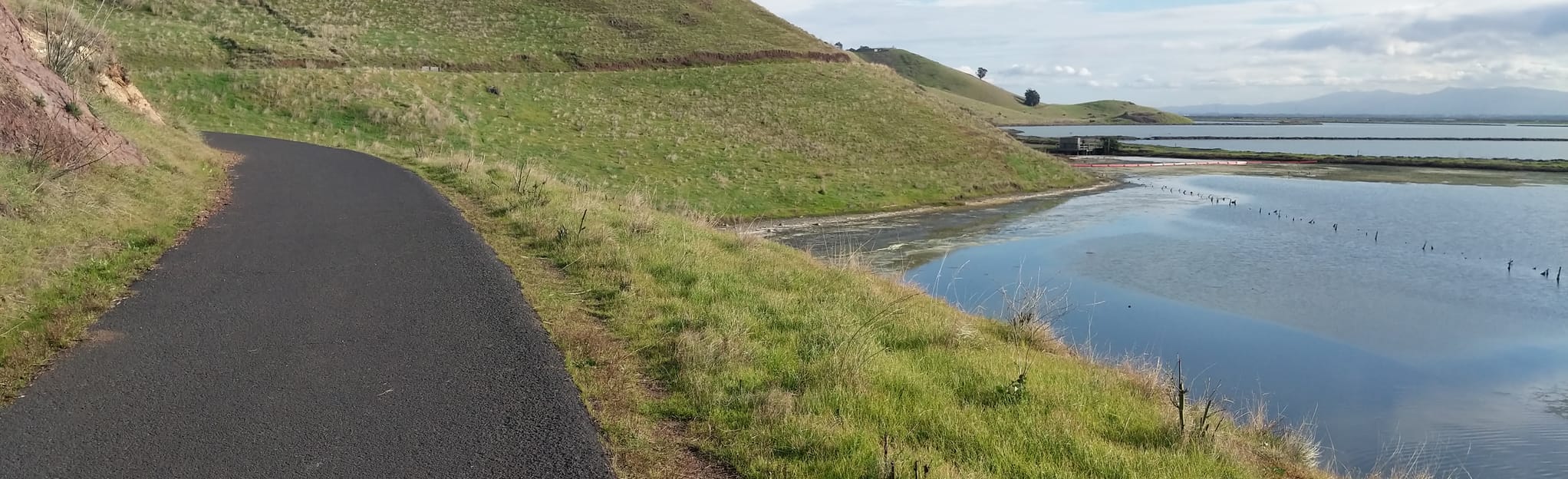 Bayview, Red Hill and Soaproot Trail Loop, California - 931 Reviews ...
