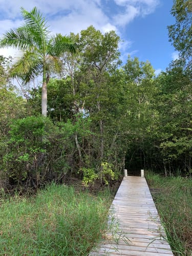 Best 10 Trails and Hikes in Cayman Islands | AllTrails