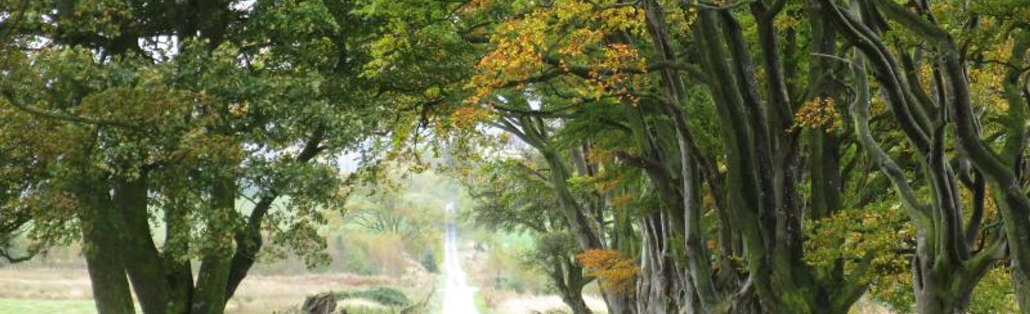 Edinburgh, Innerleithen, Newtongrange and Musselburgh Circular: 5 foto ...