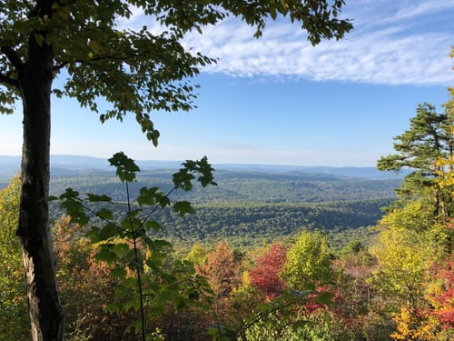 2023 Best 10 Long Trails in Wardensville | AllTrails