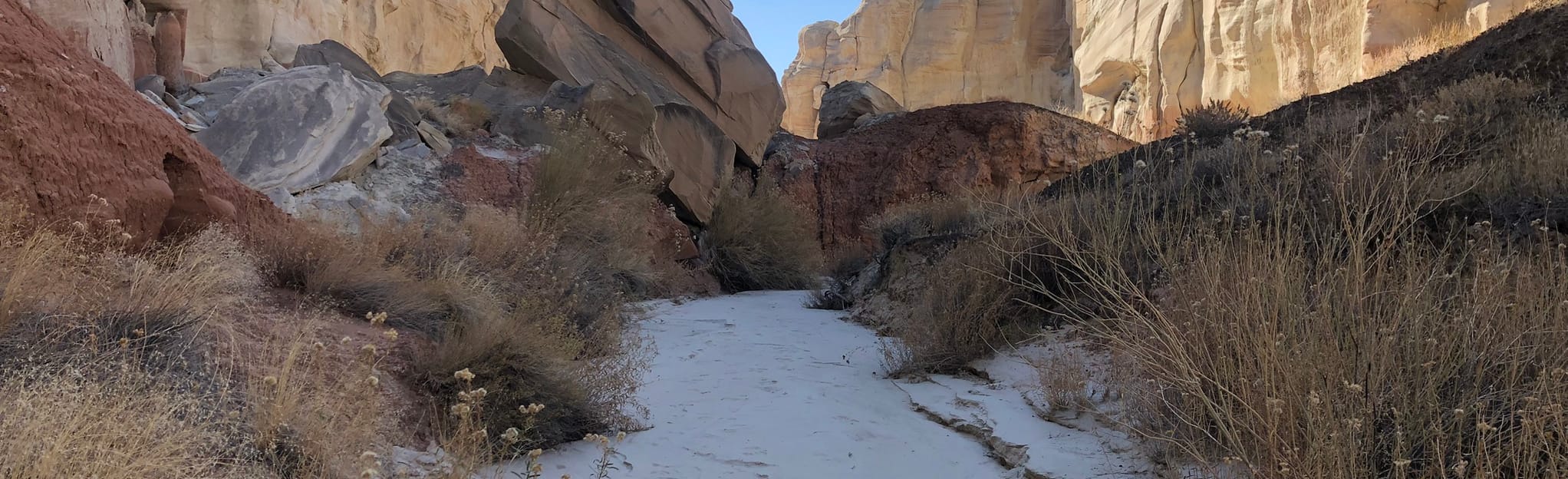 Resurrection Canyon, Utah - 99 Reviews, Map | AllTrails