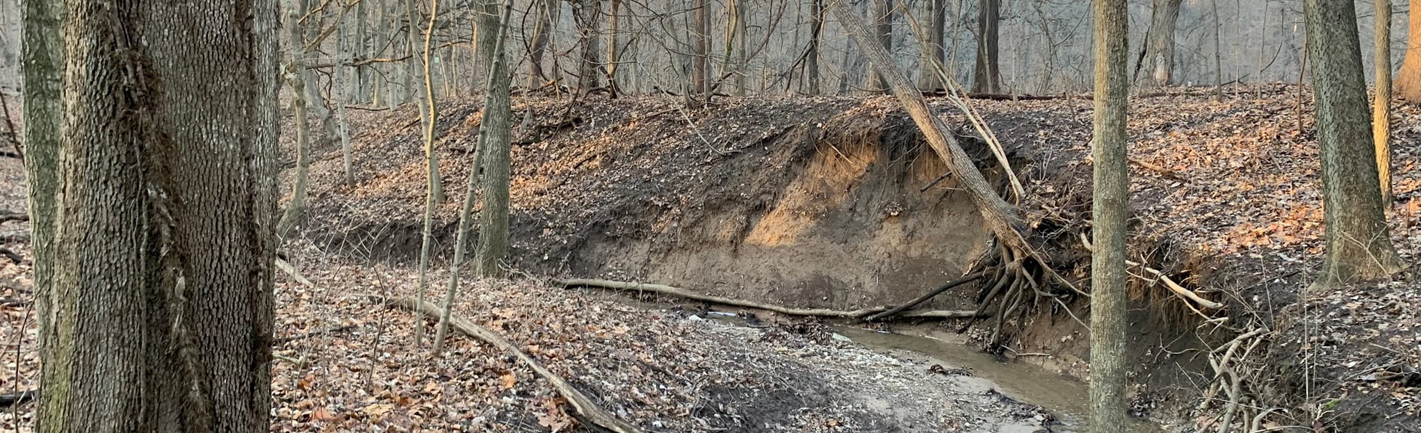 Detweiller Park Loop: 88 Reviews, Map - Illinois | AllTrails