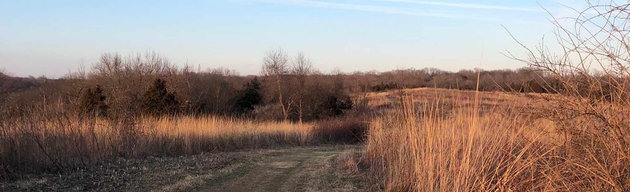 High Ridge Trail: 216 Reviews, Map - Missouri | AllTrails