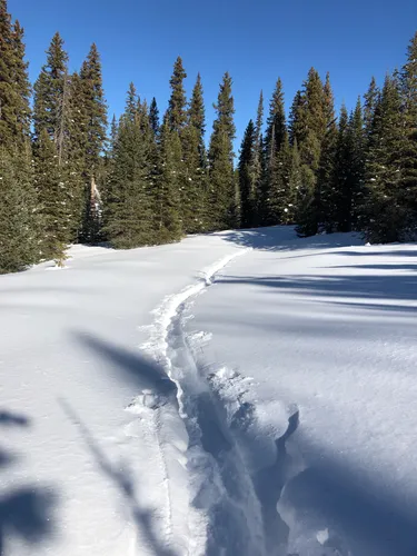10 Best Snowshoeing Trails in Grand Mesa National Forest | AllTrails