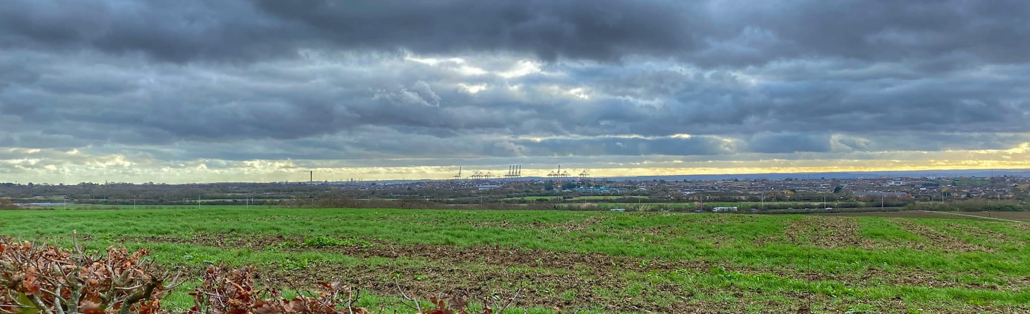 One Tree Hill to Langdon Loop, 85 Fotos - Essex, England | AllTrails